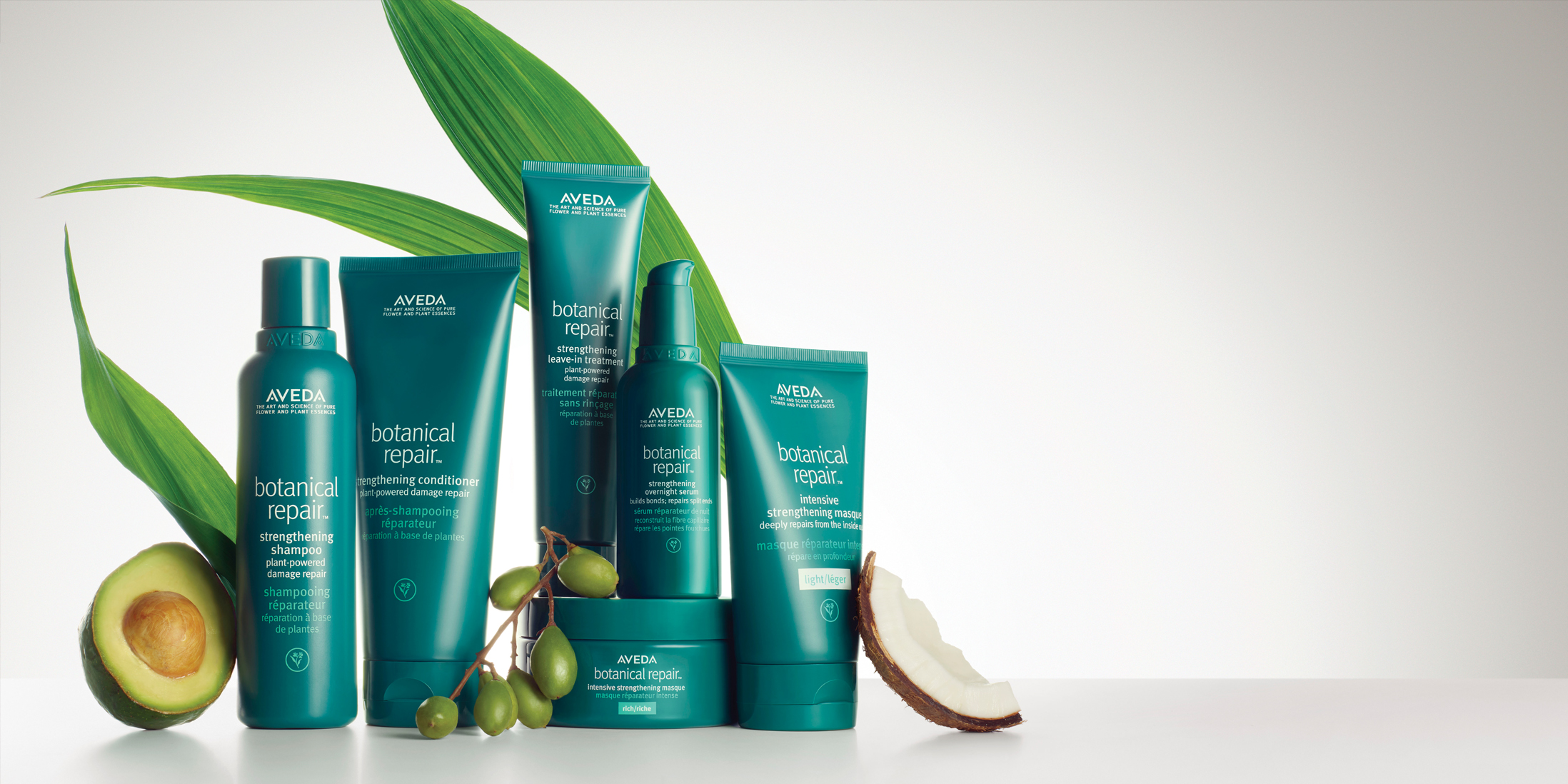 Botanical Repair™ für Zuhause - Schnitt-Punkt Würzburg